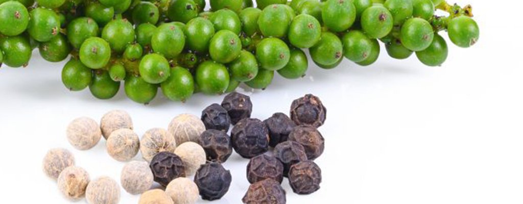 Get to Know Green Peppercorn